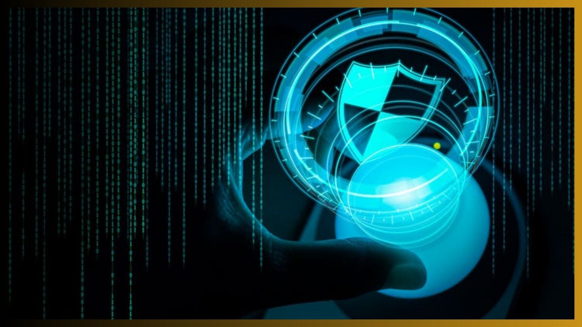 What is a Vulnerability? | Vulnerability Management Services